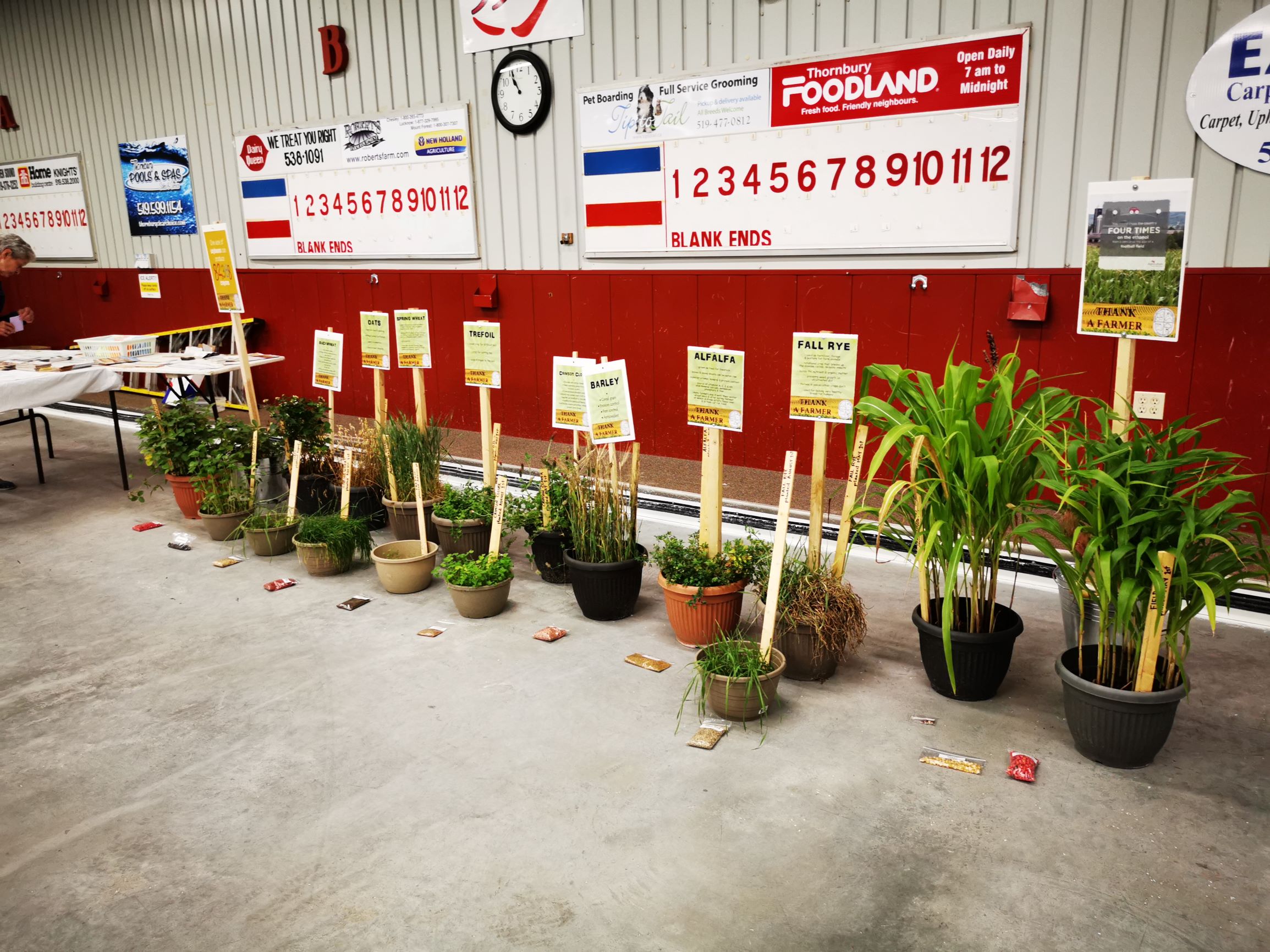 Meaford & St. Vincent Agricultural Society